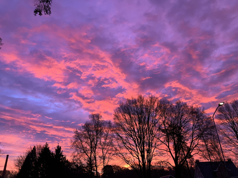 Het Heelcollectief - Hipsy