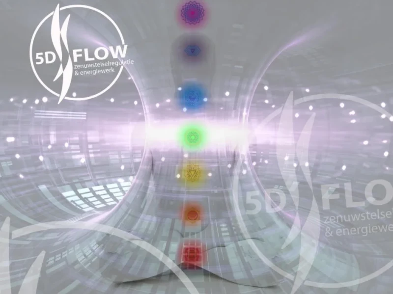 5D Flow Technique - Hipsy