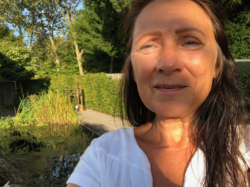 Zielinbeweging - Hipsy