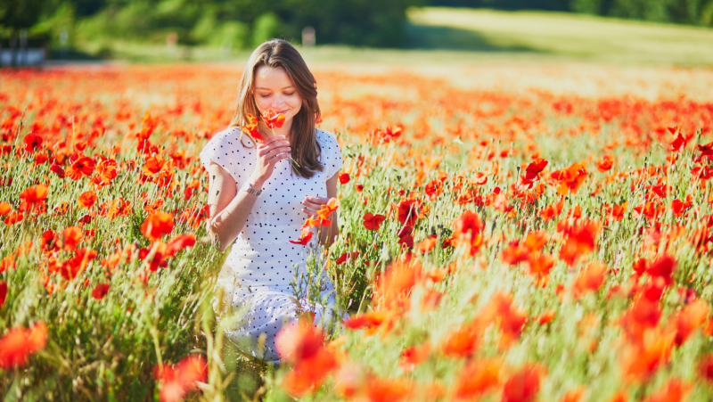 BalanSanté Mindfulness Instituut - Hipsy