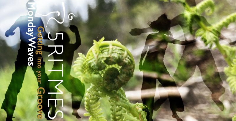 Move to be Free | 5Rhythms | 5Ritmes - Hipsy