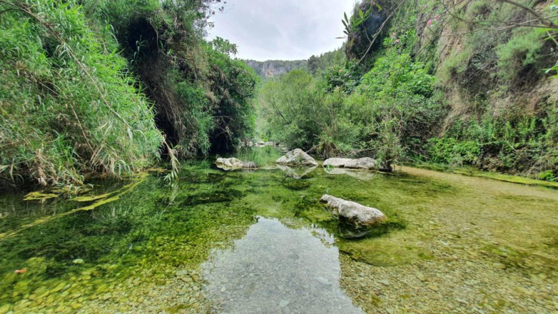 DiasCoaching - Hipsy