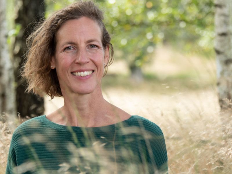 Focus op Flow - Hipsy