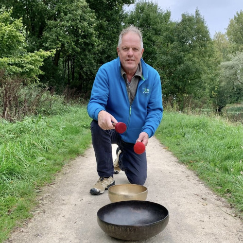 Movement of the Elements - Hipsy