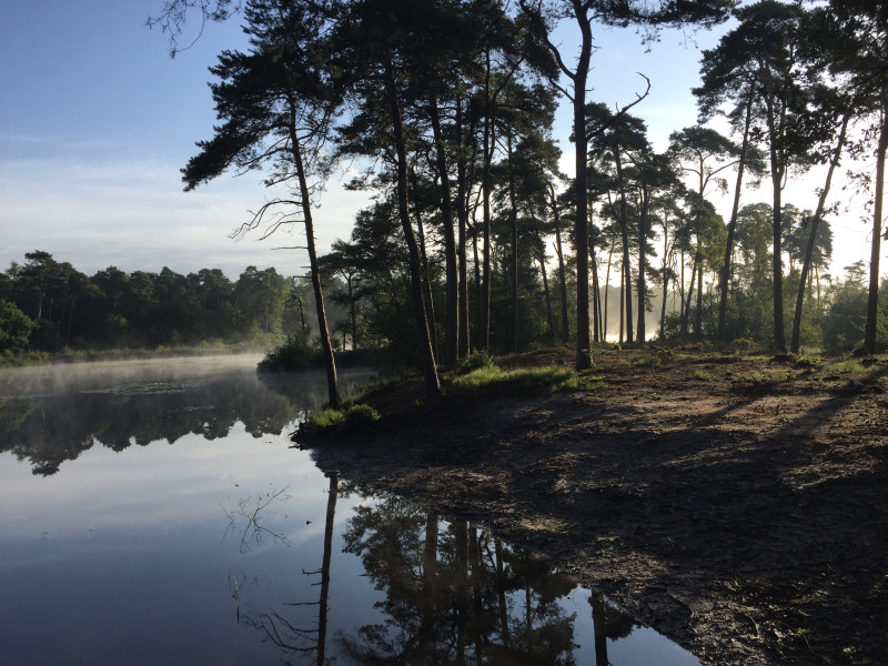 Joost Robben Training & Coaching - Hipsy
