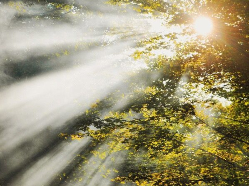 Soulfull Circle - Hipsy