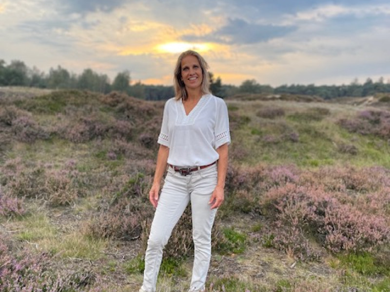 AdemfijnBrein - Hipsy