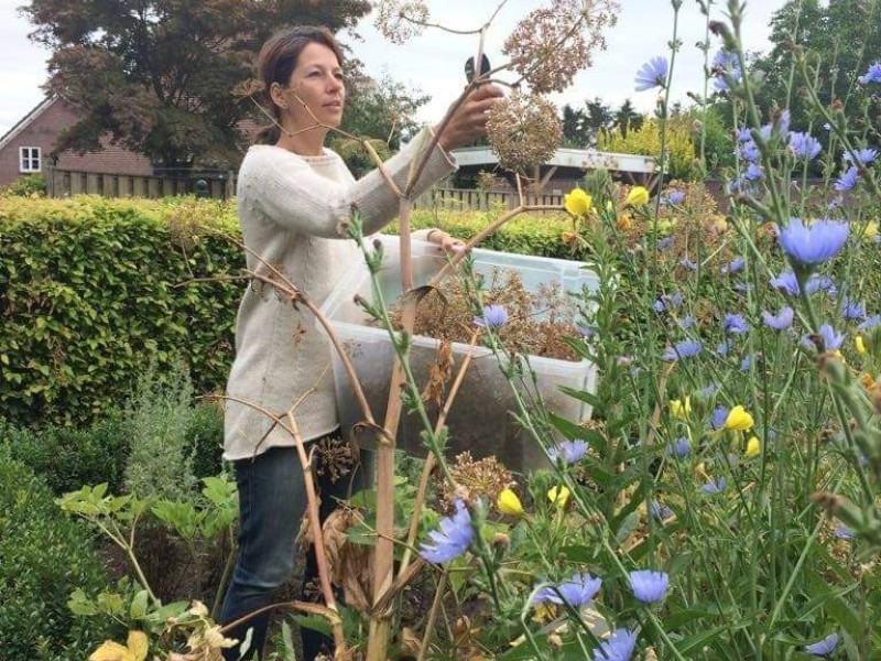 Natuurlijk Maartje - Hipsy