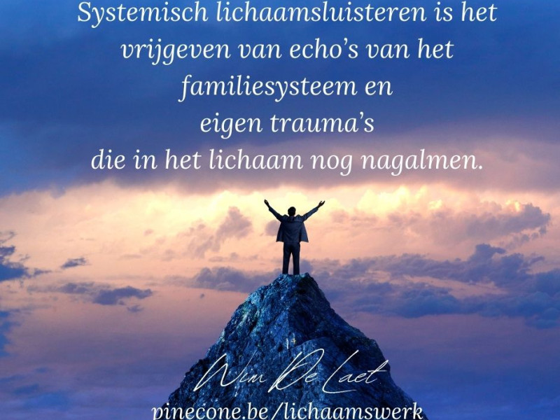 Wim De Laet - Hipsy