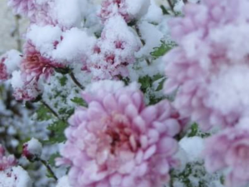 Catriona Embodied Love - Hipsy