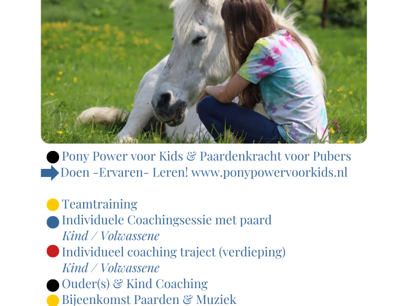 Paarden - Coaching- Horse Wisdom - Hipsy