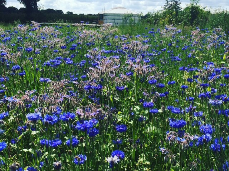 Het Moment Zundert - Hipsy