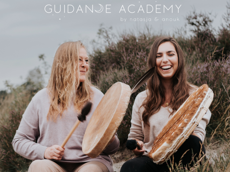 Guidance Academy - Hipsy