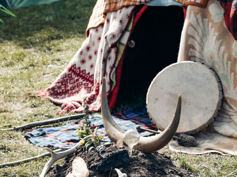 Shamanic Elements - Hipsy