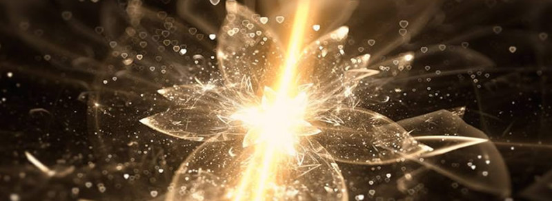 Martine van den Dool - Hipsy