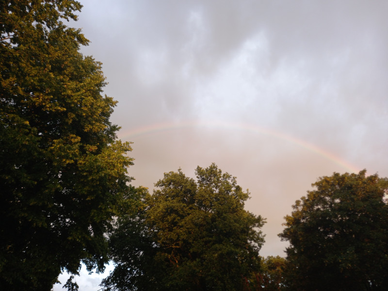 Regeneration & Transformation - Hipsy