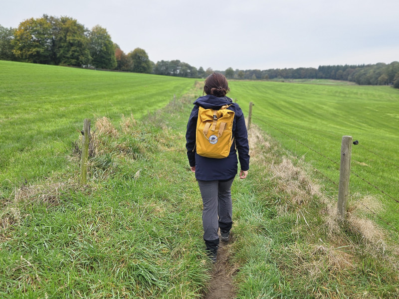 Pinya Coaching - Hipsy