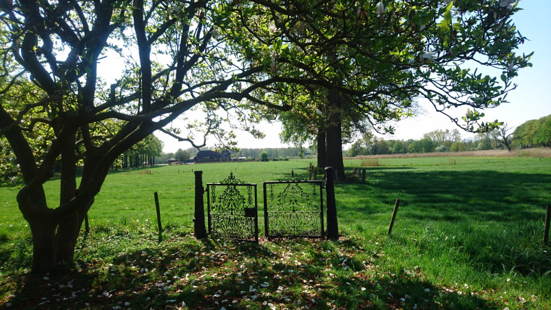 Roots Anne Heesakkers - Hipsy