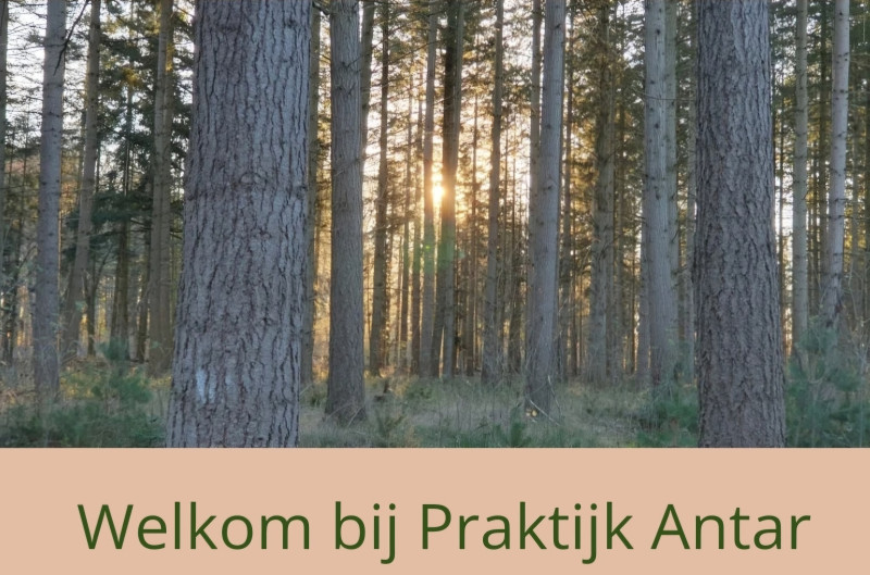 Praktijk Antar - Hipsy