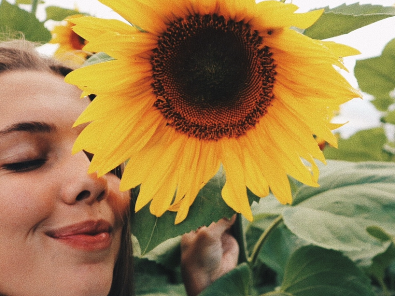 Manawa Coaching - Hipsy