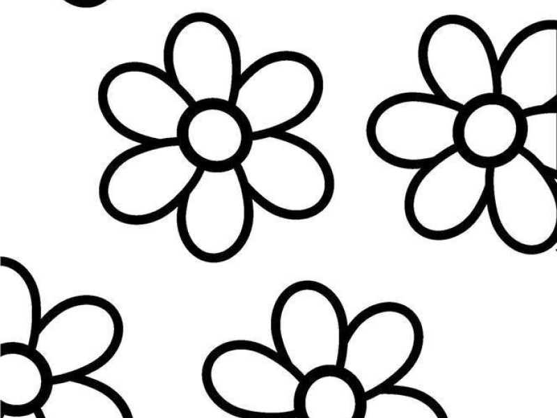 Embrace Yourself and Bloom - Hipsy