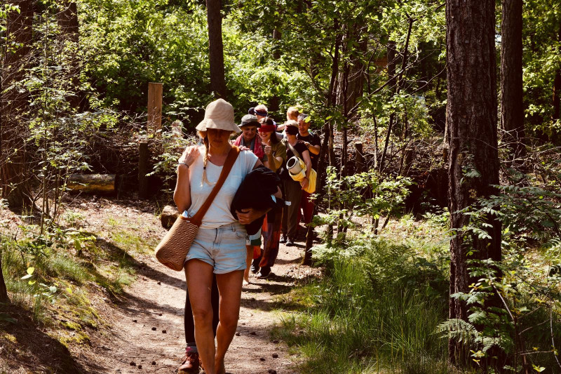 De Wilde Weg - Hipsy