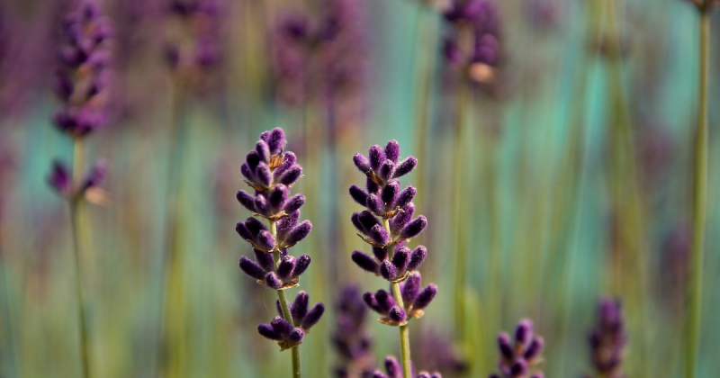 Praktijk In Balance - Hipsy